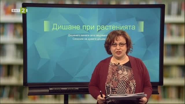 Човекът и природата 5 клас Дишане при растенията Българска